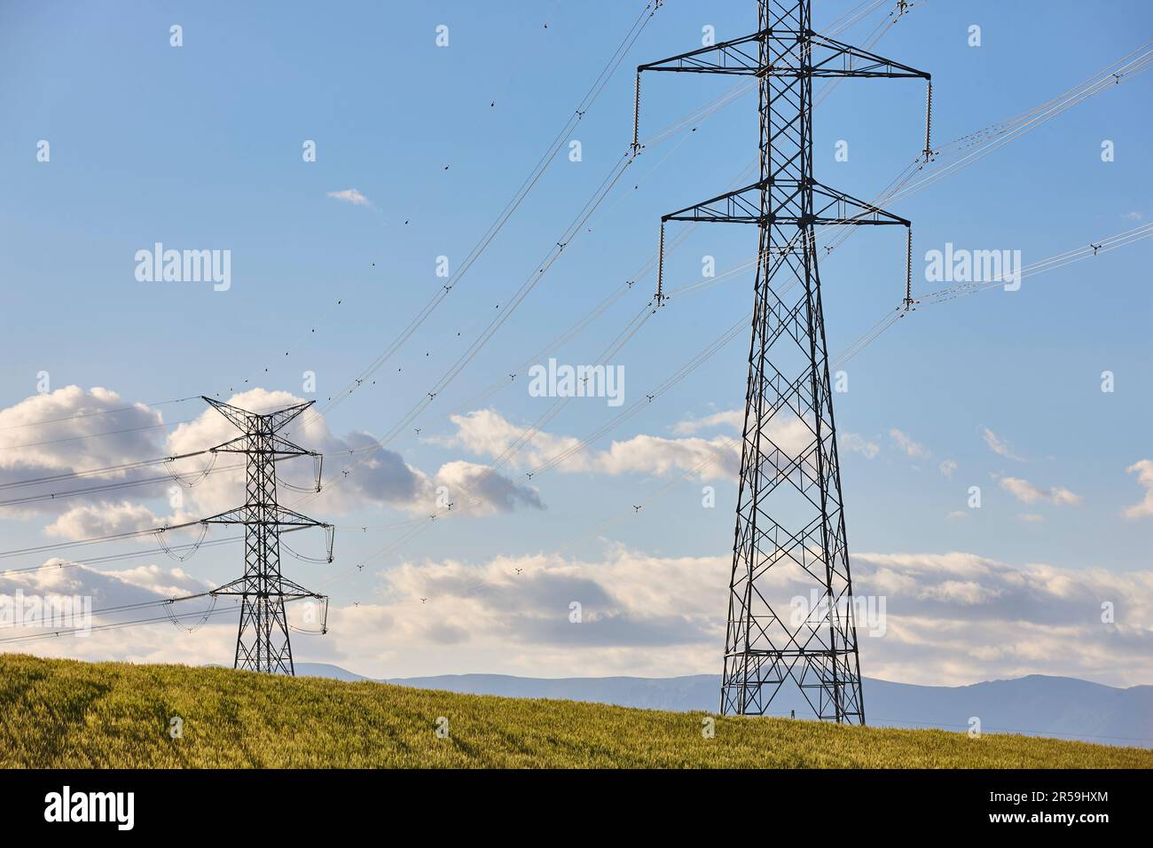 Power lines. Energy industry. Industrial electricity trasmission ...