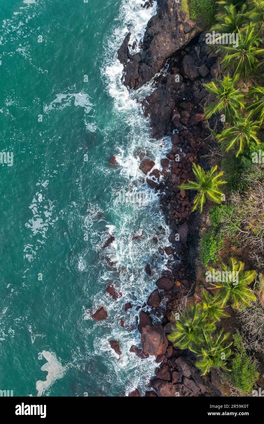 Aerial top view on tropical beach with green palm trees under sunlight ...