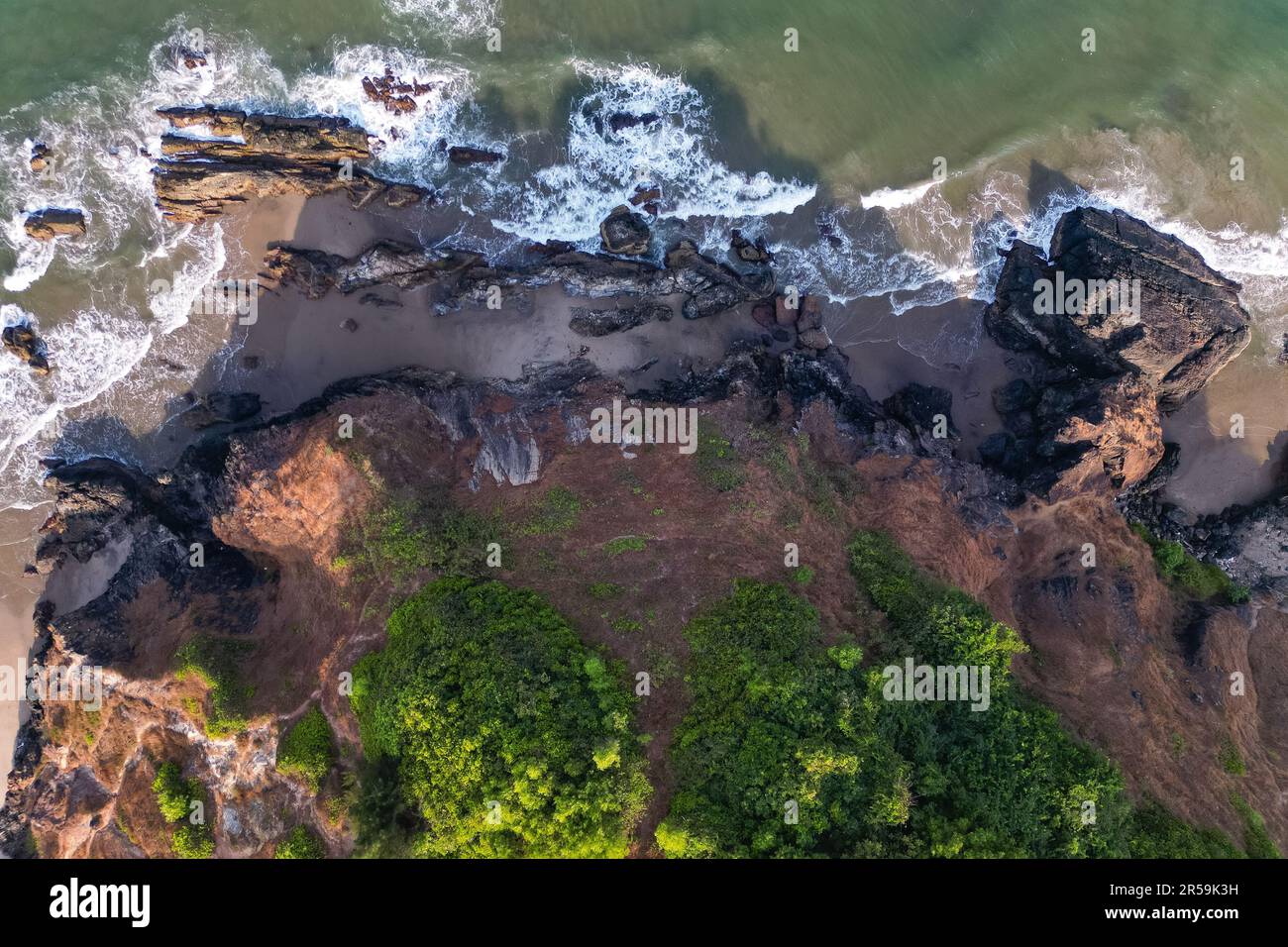 Aerial top view on tropical beach with green palm trees under sunlight ...