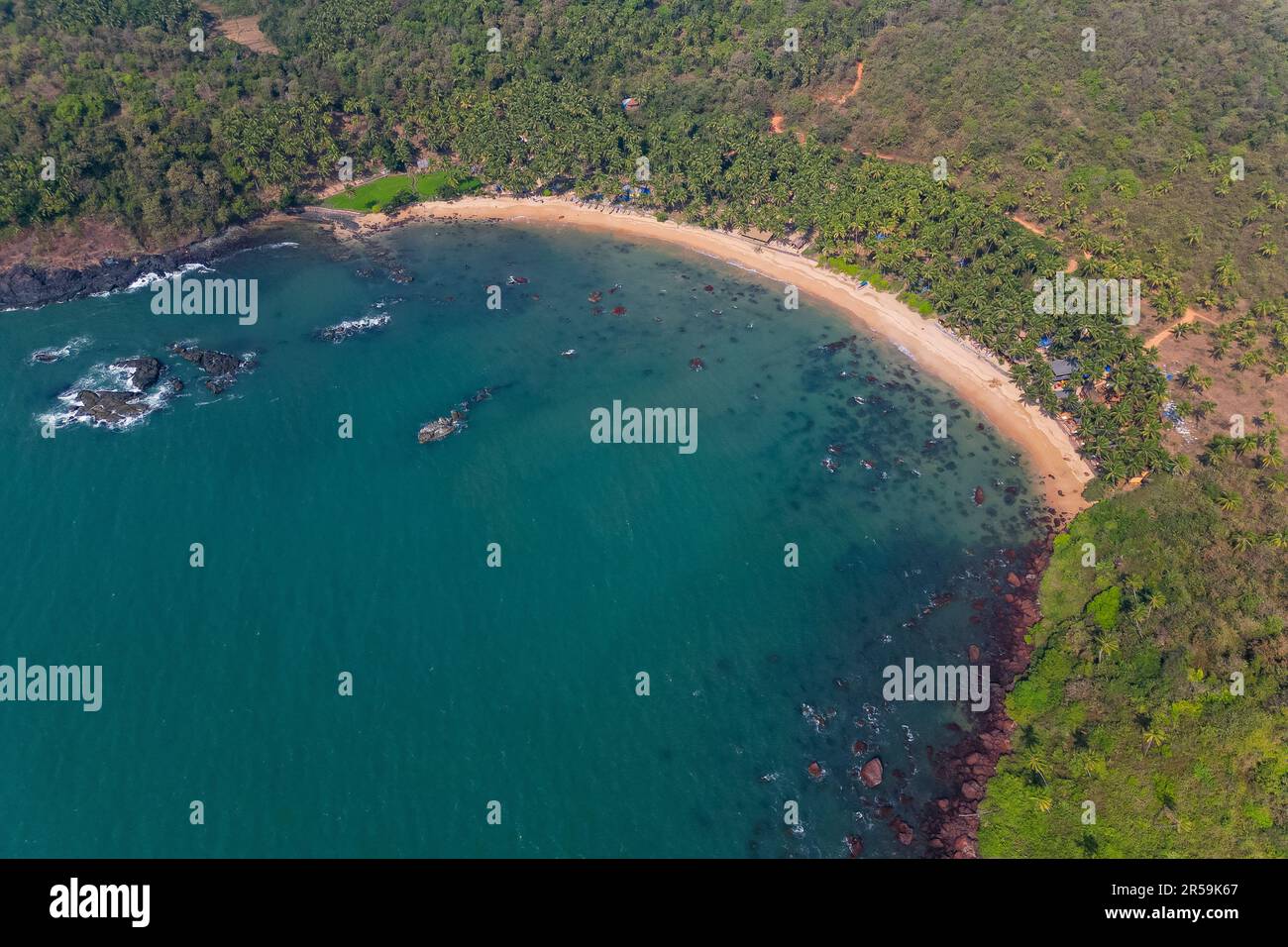 Aerial top view on tropical beach with green palm trees under sunlight ...