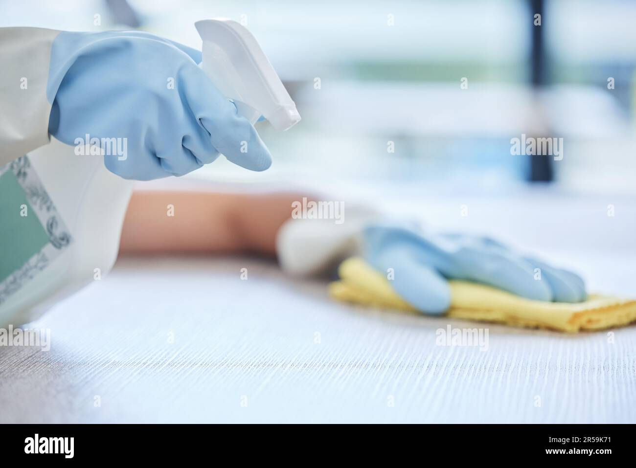 Hands, housekeeper and detergent for cleaning table, hygiene or ...