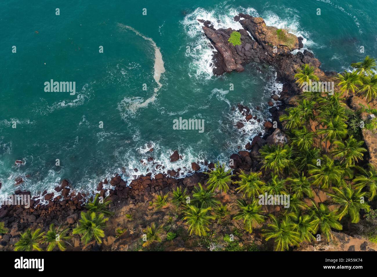 Aerial top view on tropical beach with green palm trees under sunlight ...