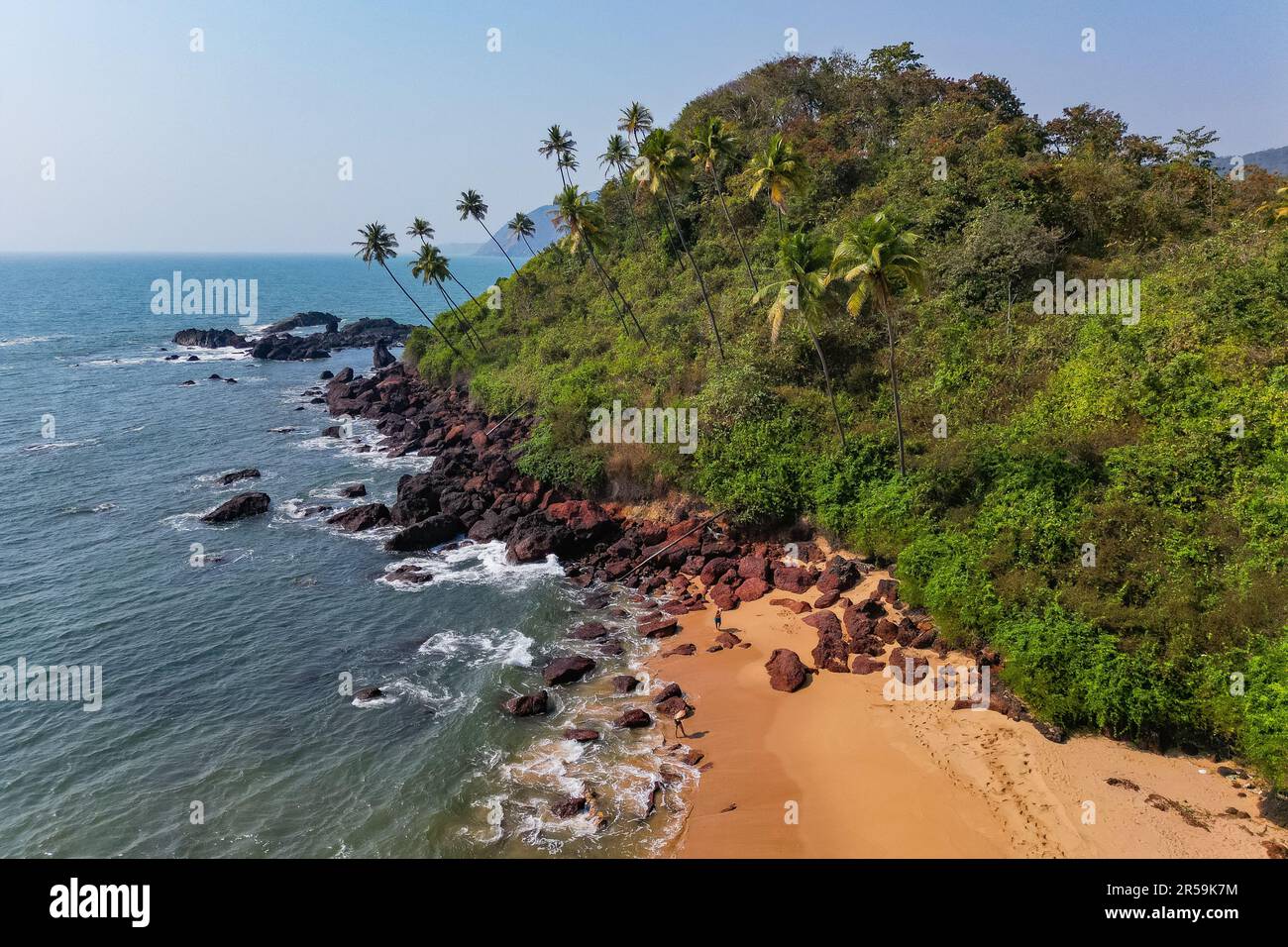Aerial top view on tropical beach with green palm trees under sunlight ...