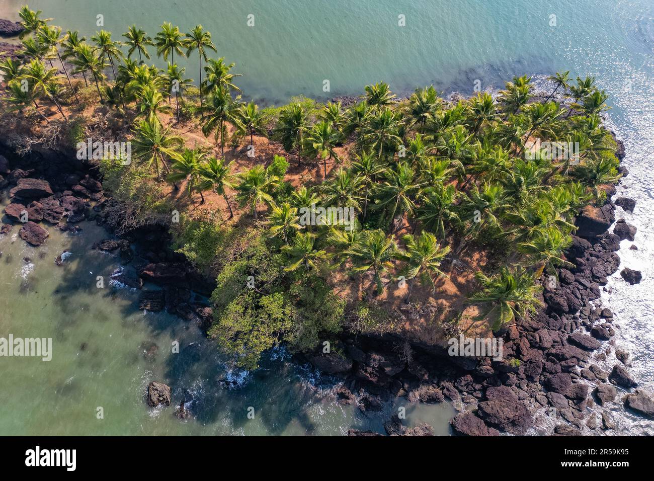 Aerial top view on tropical beach with green palm trees under sunlight ...
