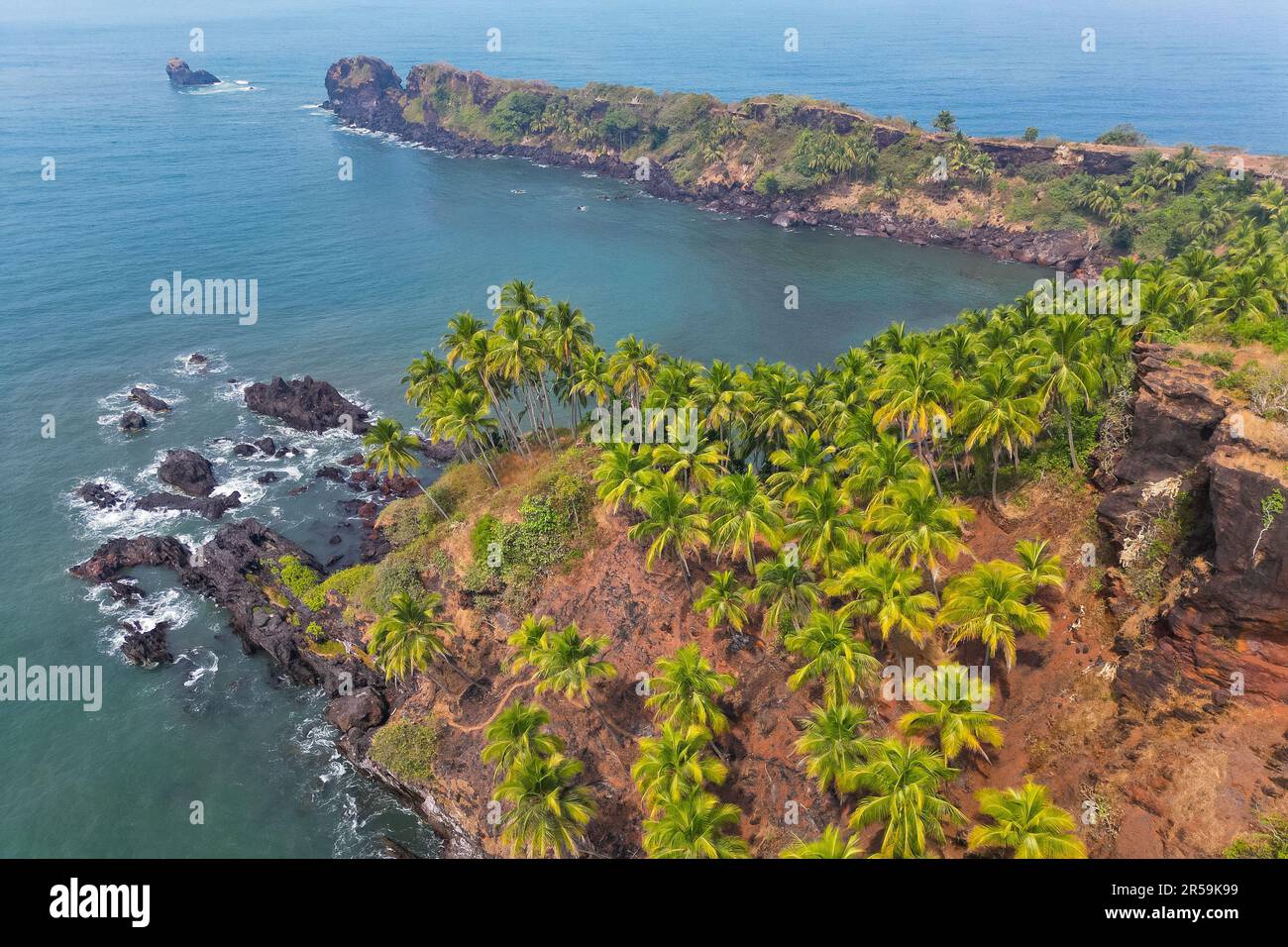 Aerial top view on tropical beach with green palm trees under sunlight ...