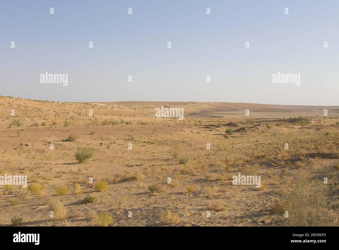 Karakum desert hi-res stock photography and images - Alamy