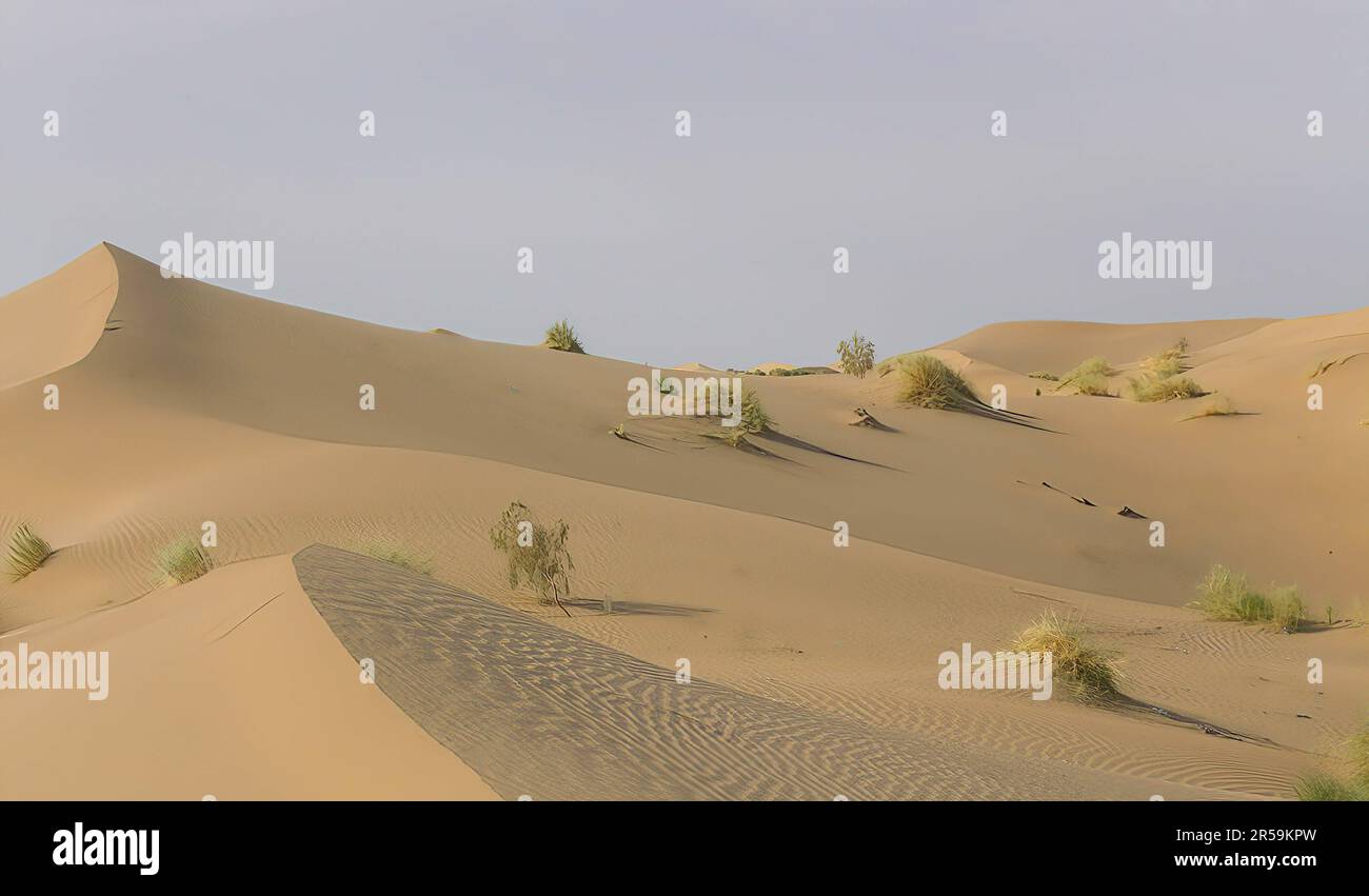 In the Karakum desert Stock Photo - Alamy