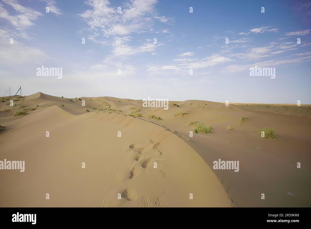 In the Karakum desert Stock Photo - Alamy