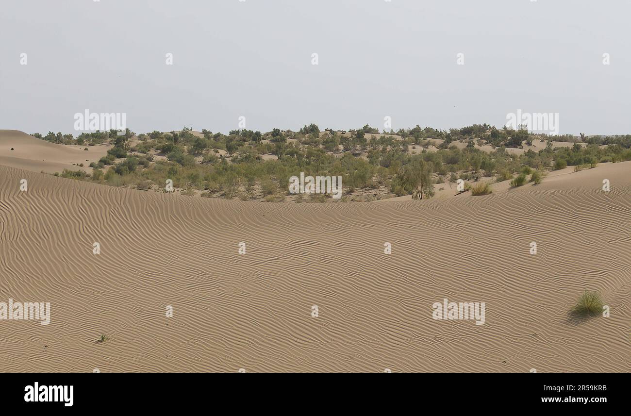 In the Karakum desert Stock Photo - Alamy