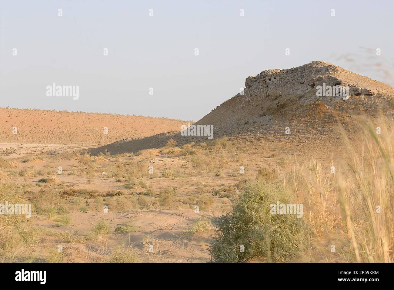 In the Karakum desert Stock Photo - Alamy
