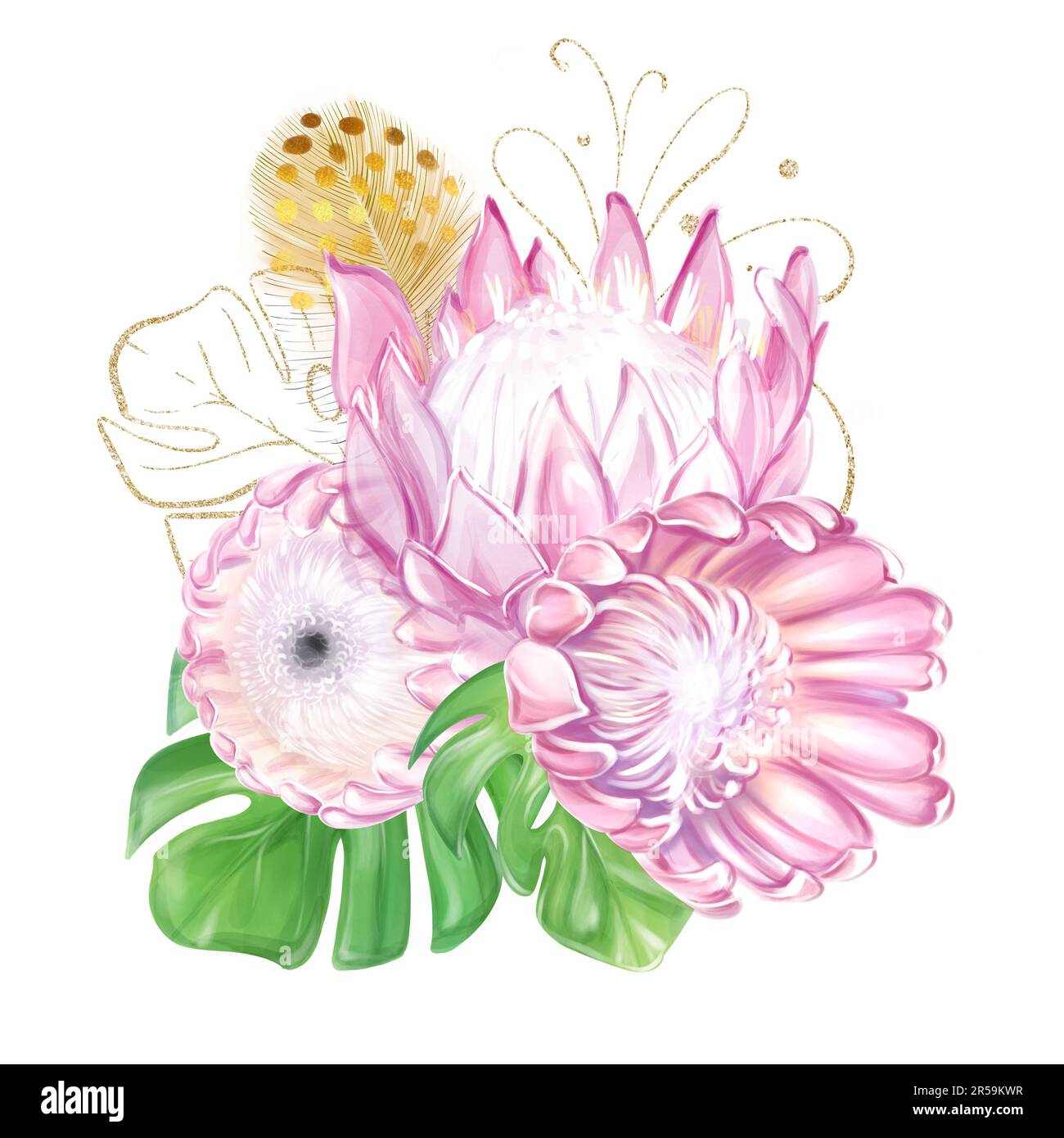 Protea garden Cut Out Stock Images & Pictures - Alamy