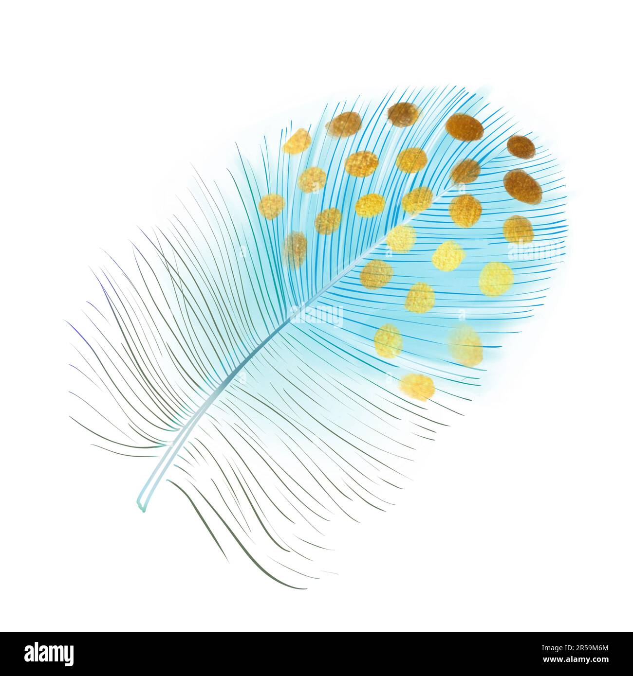 Blue feather illustrations. Soft and downy feather of bird. Hand drawn ...