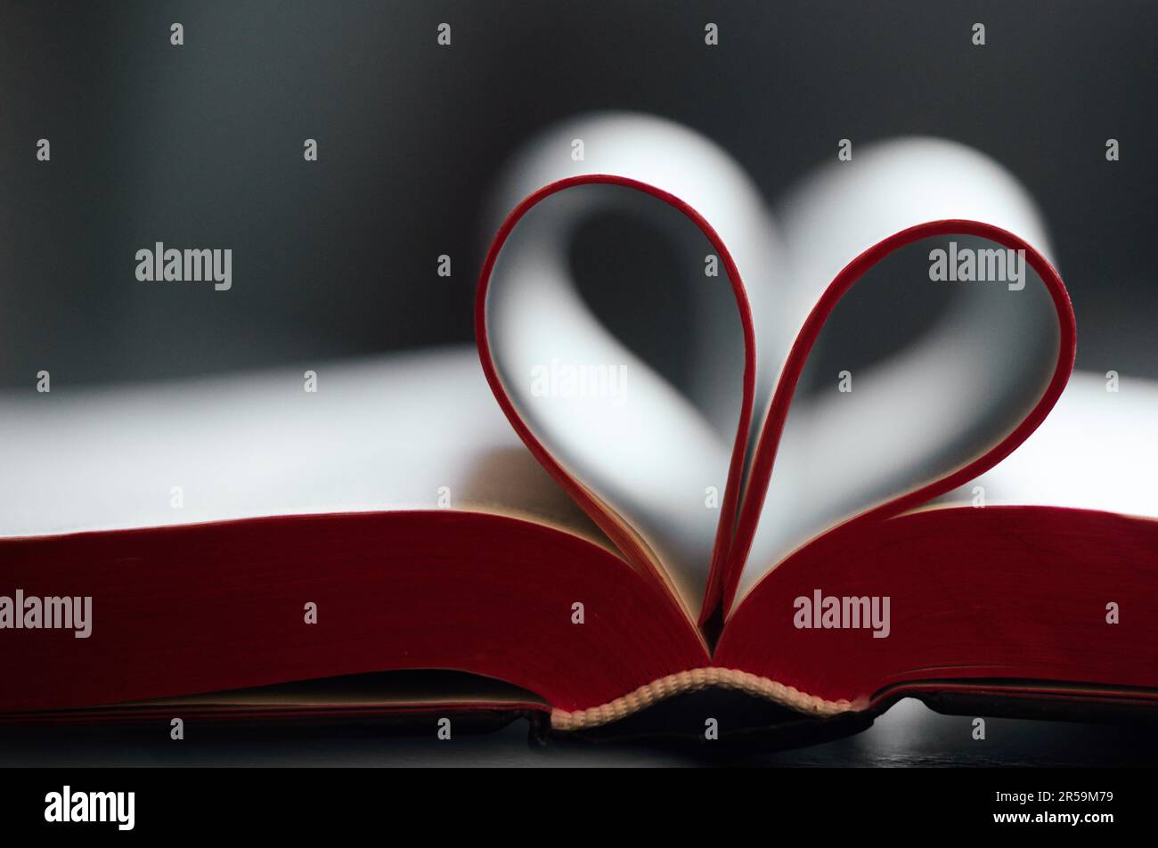 Book, pages and fold with heart shape in closeup for reading, learning ...