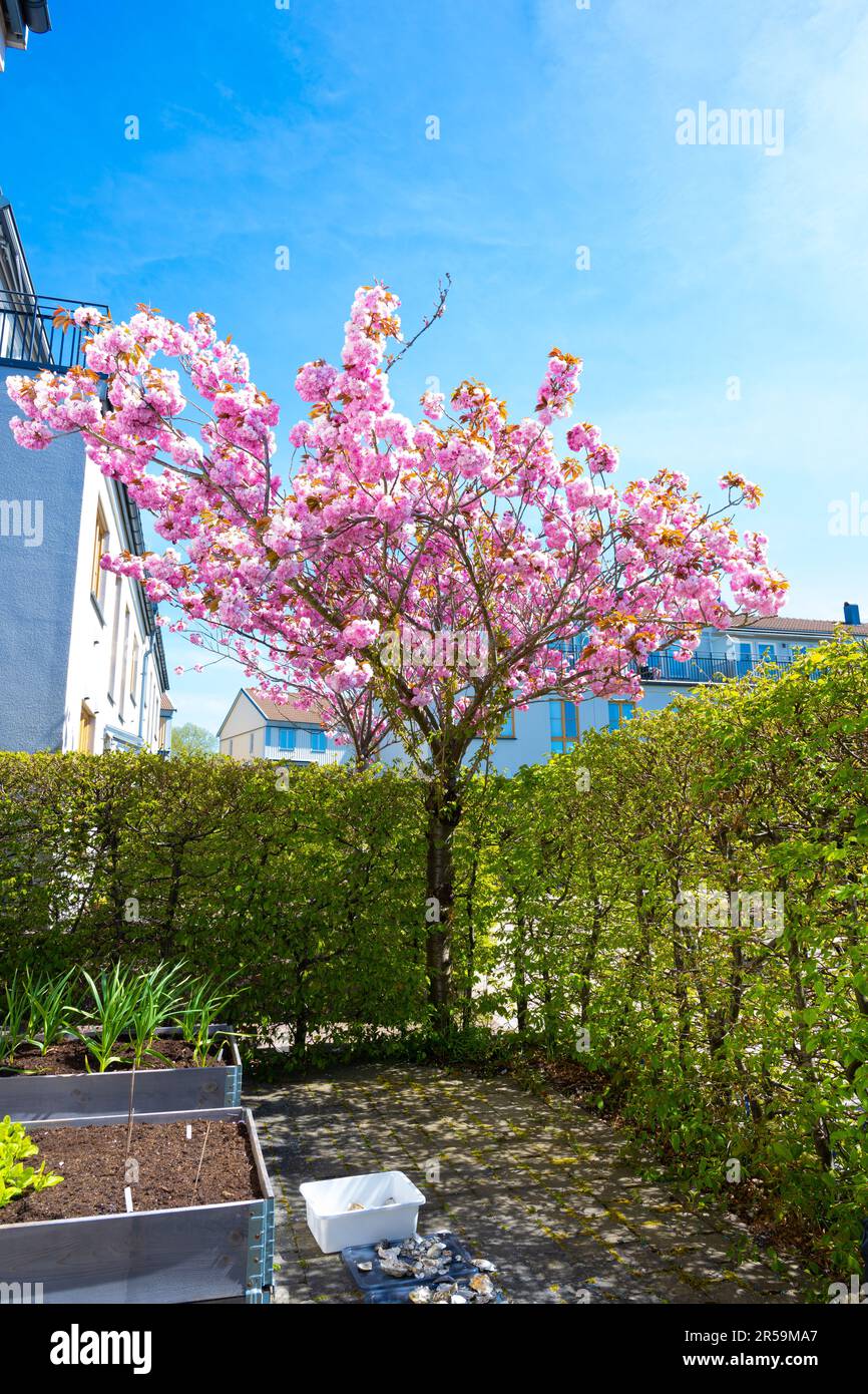 Barden house hi-res stock photography and images - Alamy