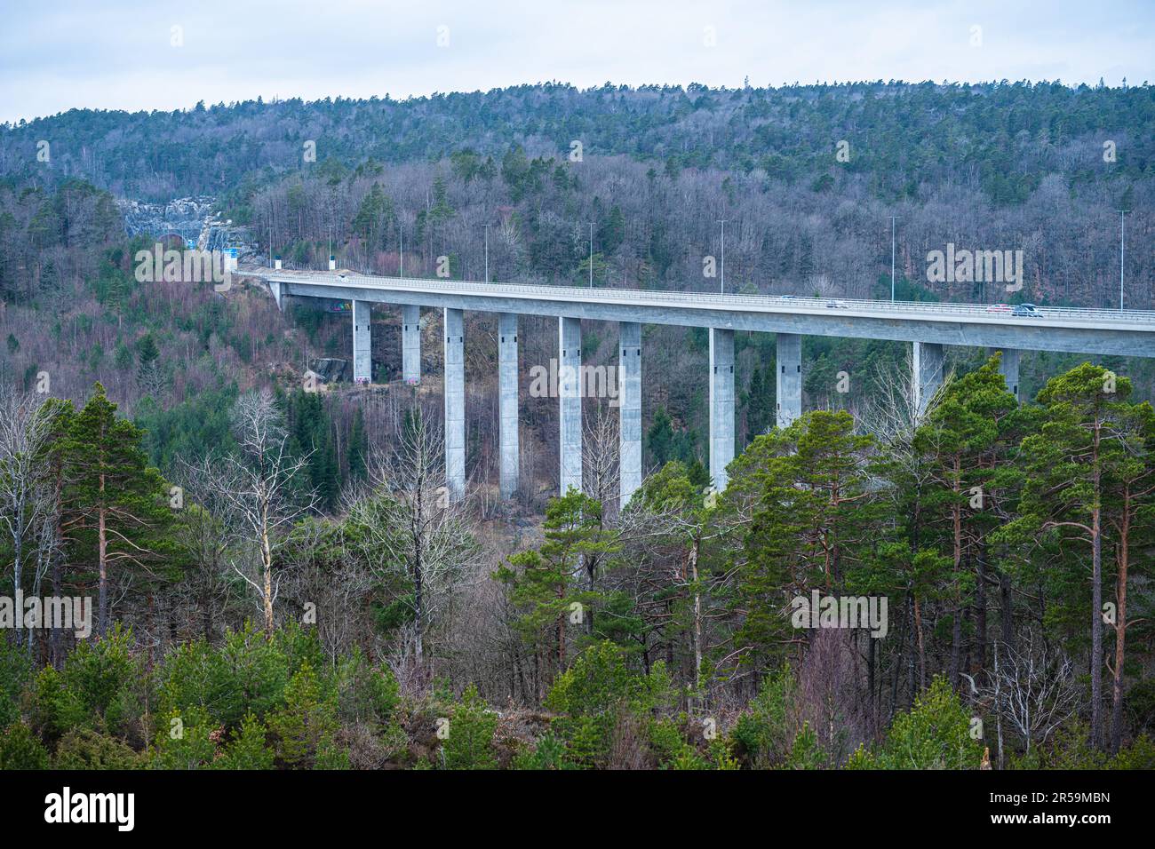 Highway bridge crossing a valley in forest ravine landscape Stock Photo ...
