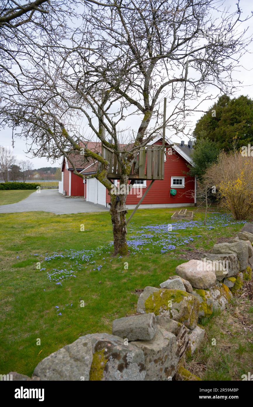 Small tree house in a tree in a garden Stock Photo - Alamy