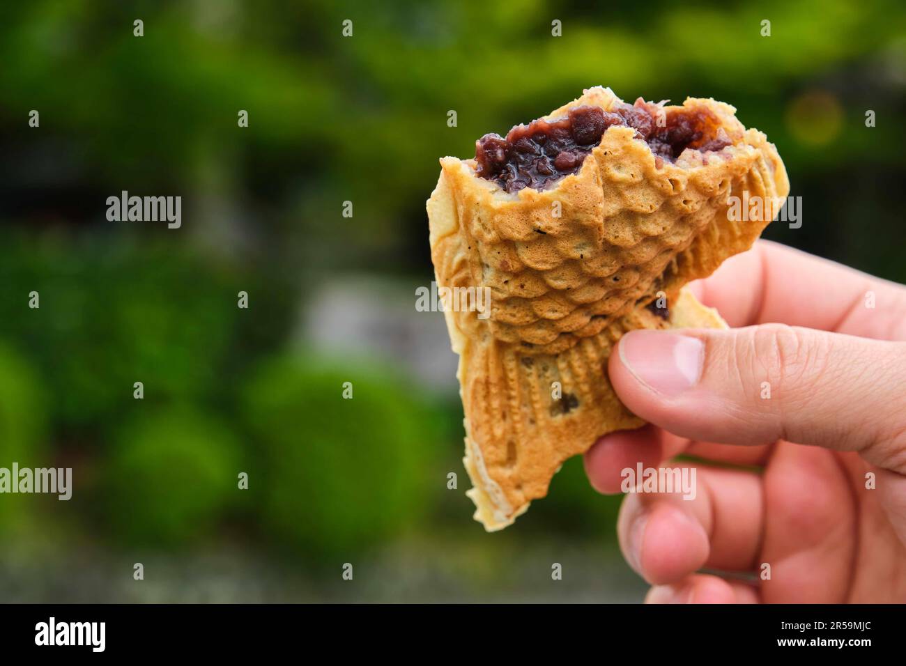 Hand holding a bitten Taiyaki, japanese fish-shaped waffle filled with ...