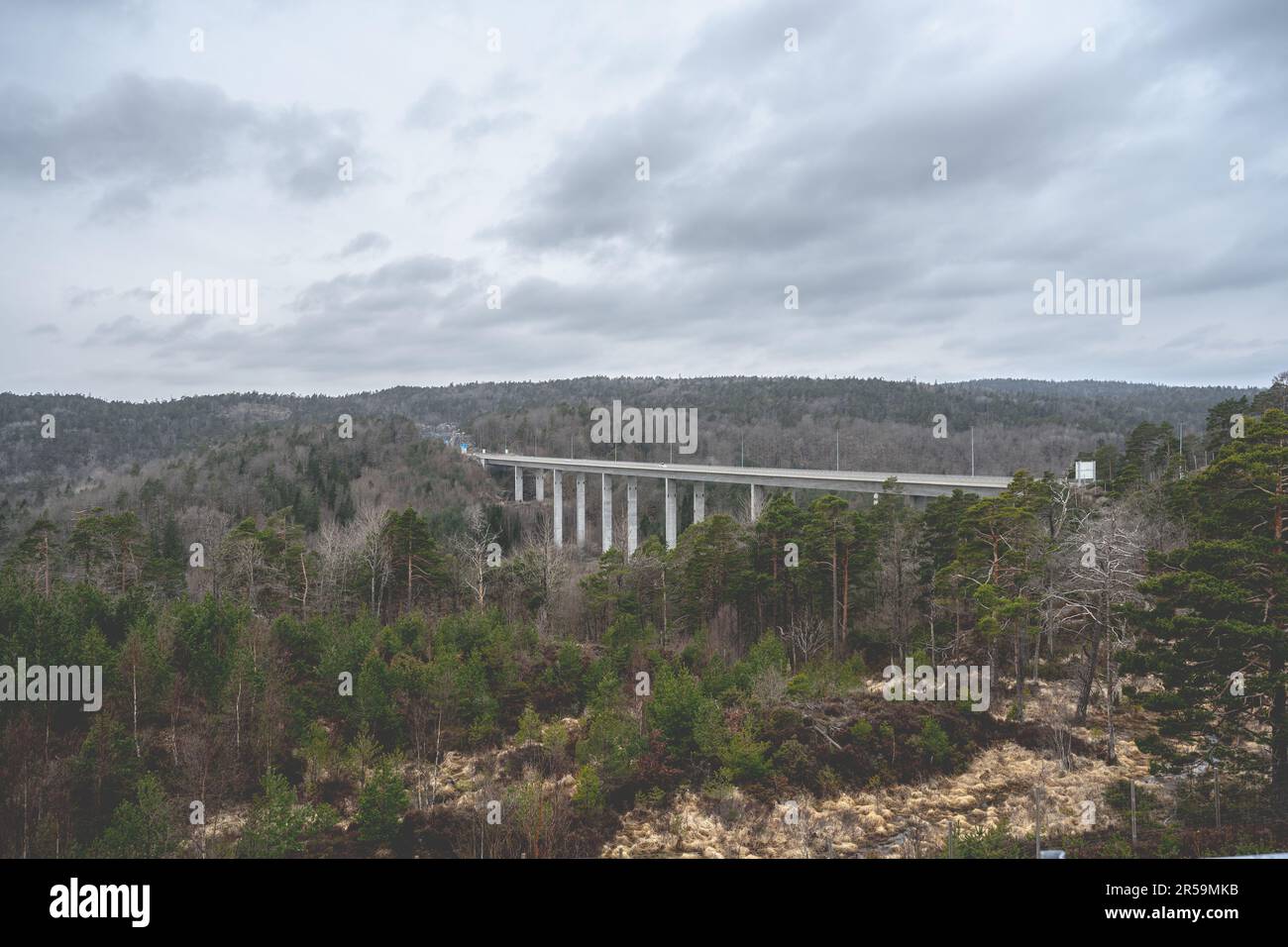 Highway bridge crossing a valley in forest ravine landscape Stock Photo ...