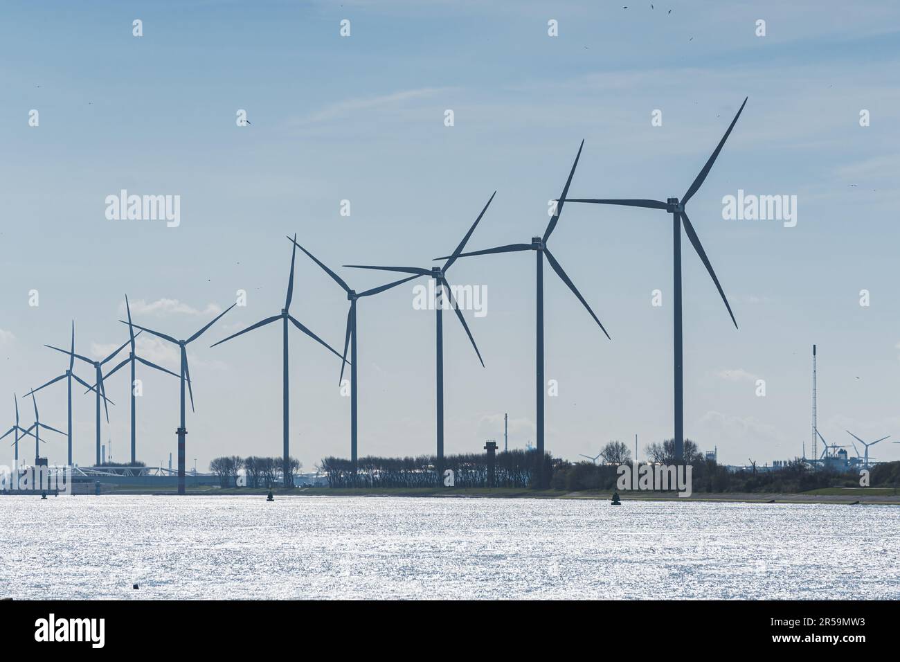 Maasvlakte Rotterdam and its wind turbines farm generating energy ...