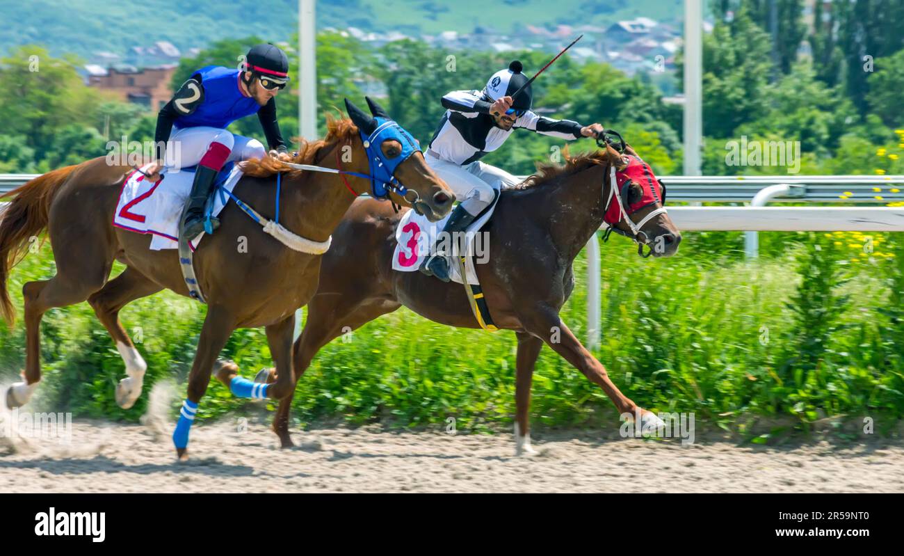 Horse Racing Border