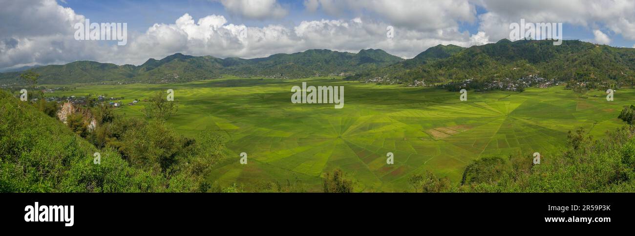Landscape panorama of the beautiful spider web rice fields in Lodok ...