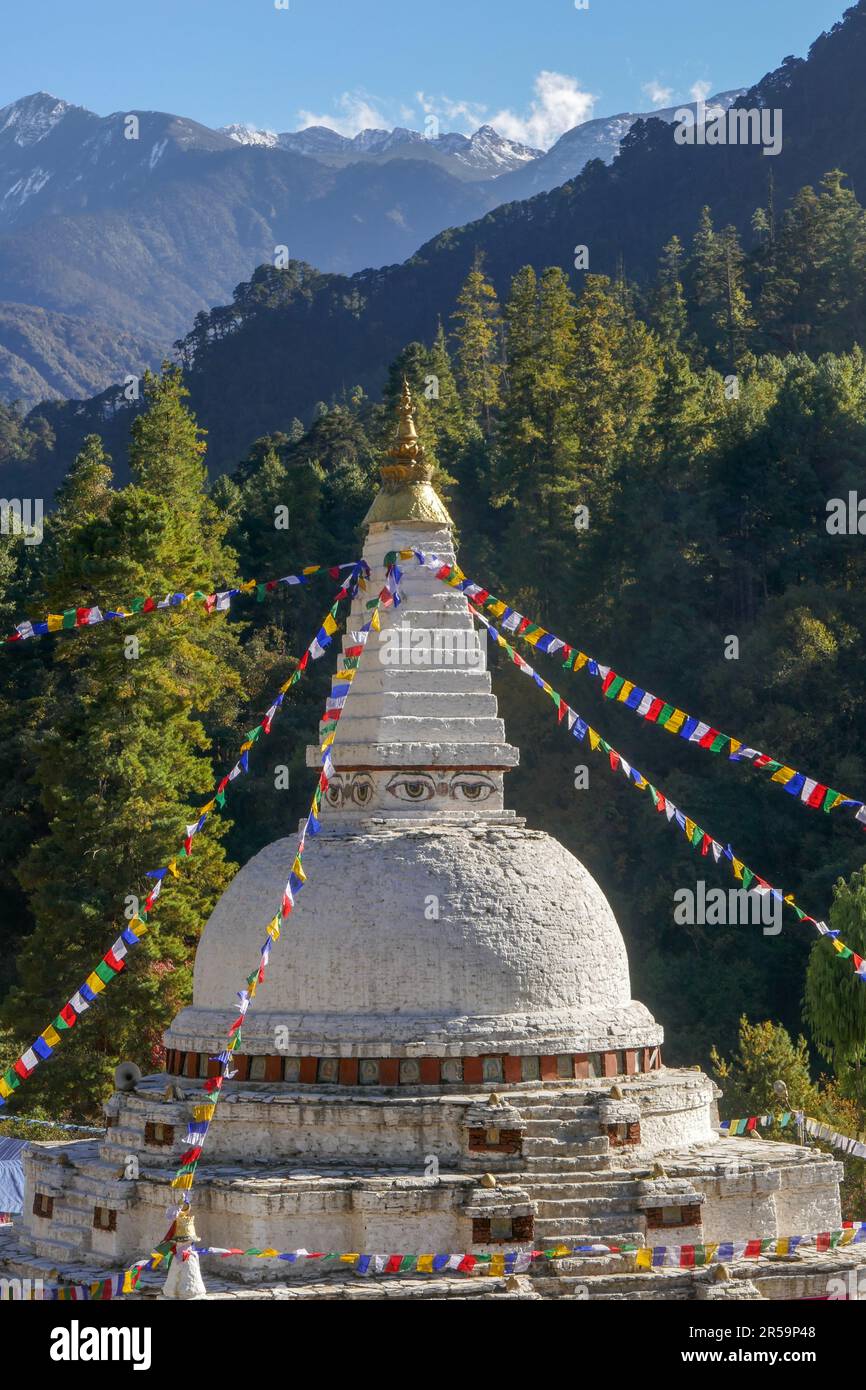 Vertical landscape view of Chendebji chorten buddhist monument near ...