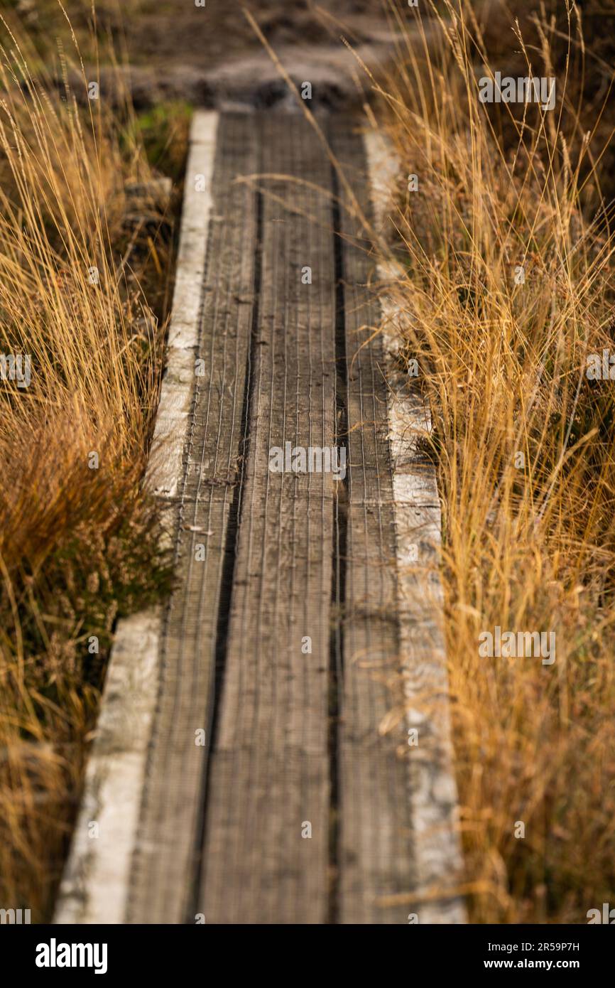 Soggy field hi-res stock photography and images - Alamy