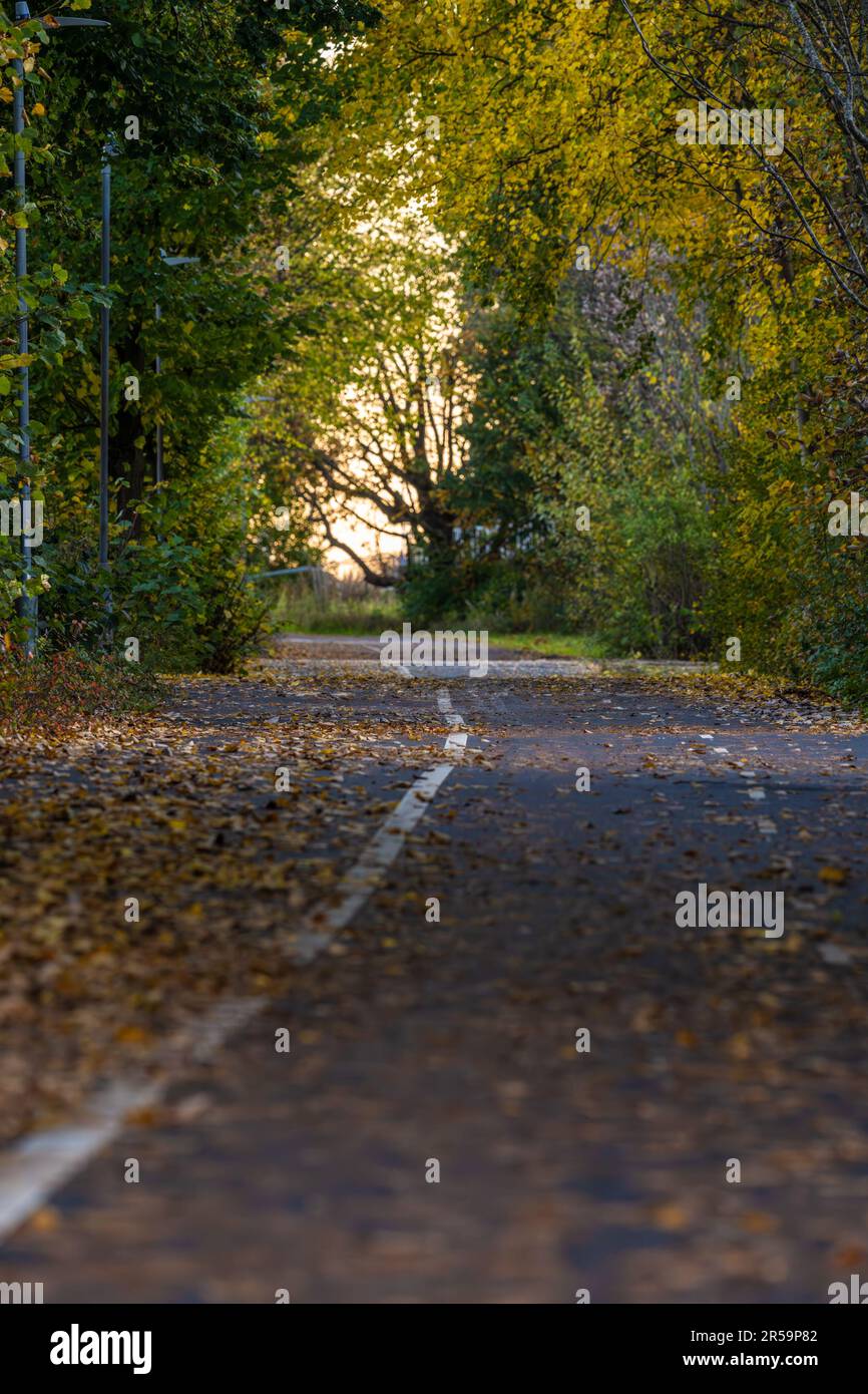 Looking down a bicycle road at fall Stock Photo - Alamy