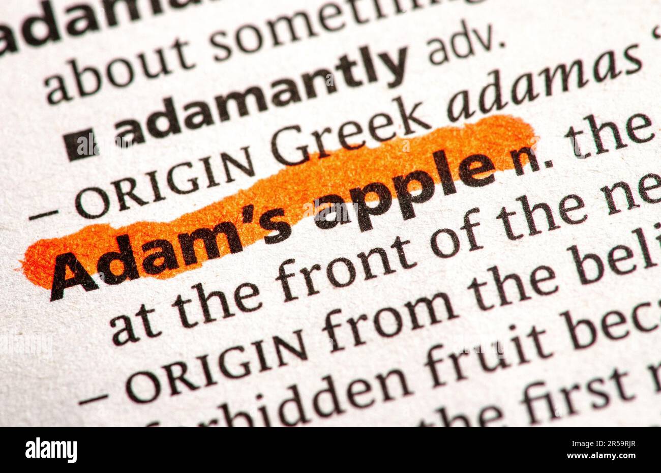 Adam's apple hi-res stock photography and images - Alamy