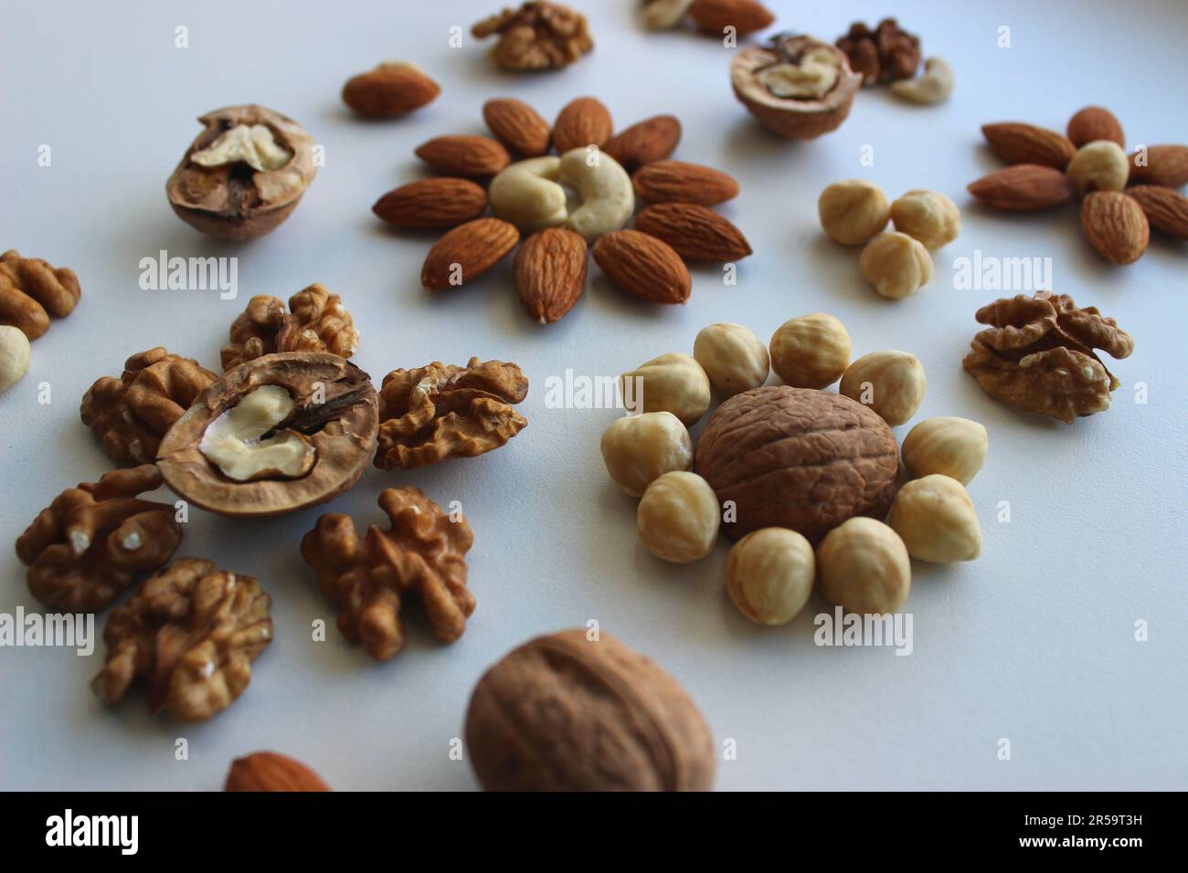 Different Types Of Nuts In Form Of Flowers On White Surface Angle View ...