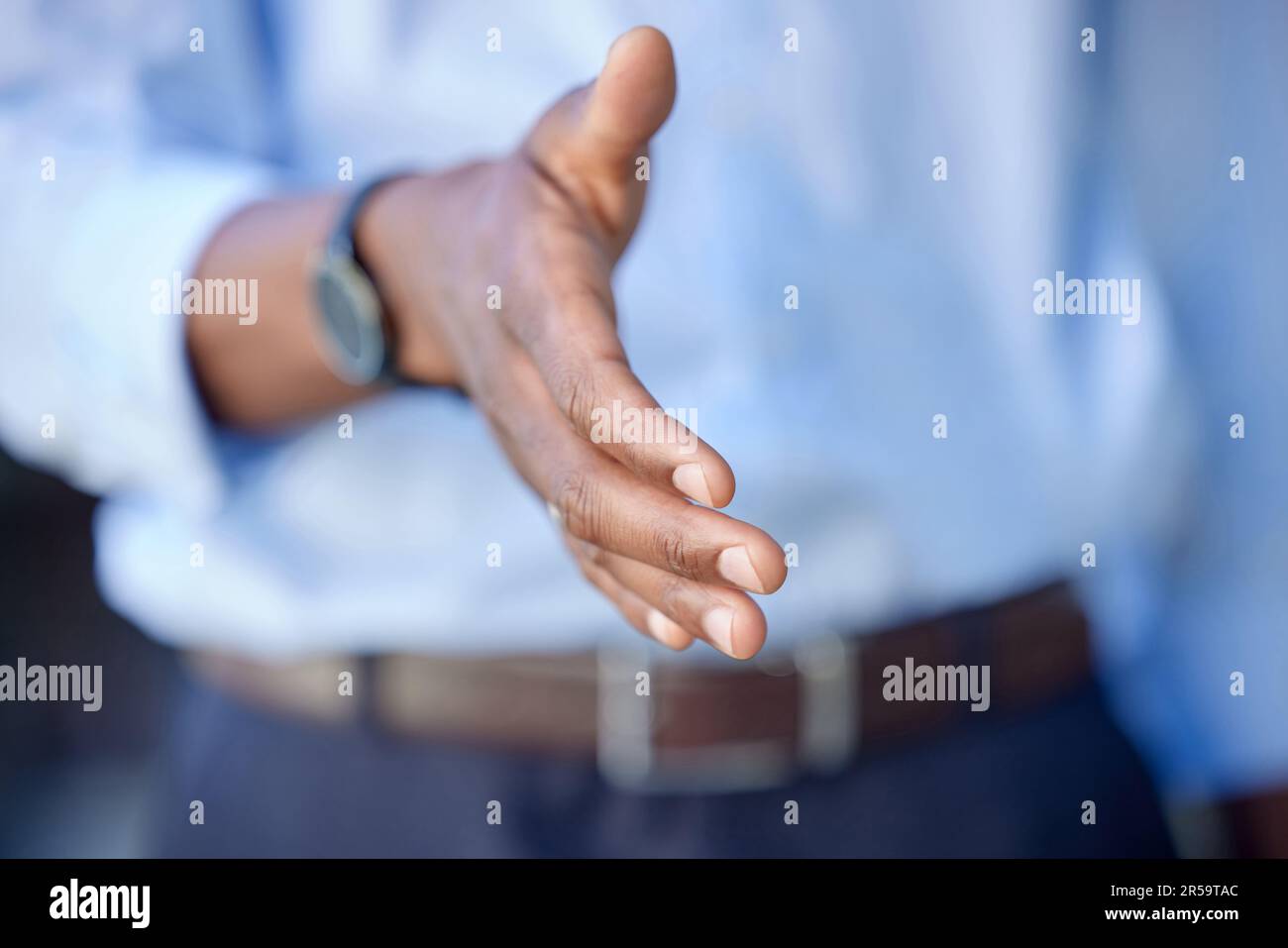 Hand shake, professional partnership and introduction, recruitment ...