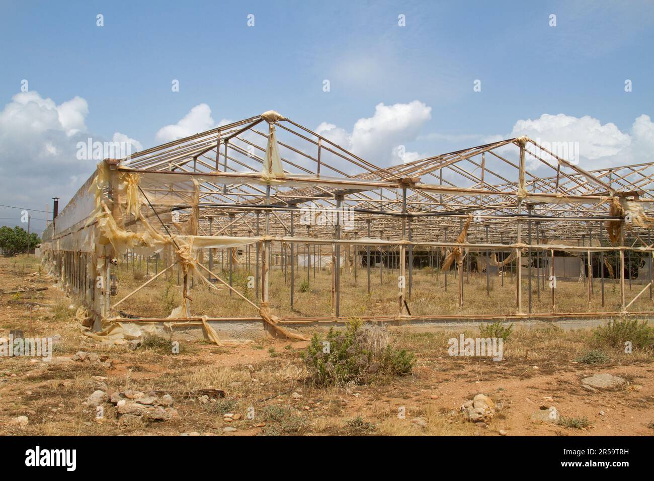 Dilapidated greenhouse: only the skeleton is still standing Stock Photo ...