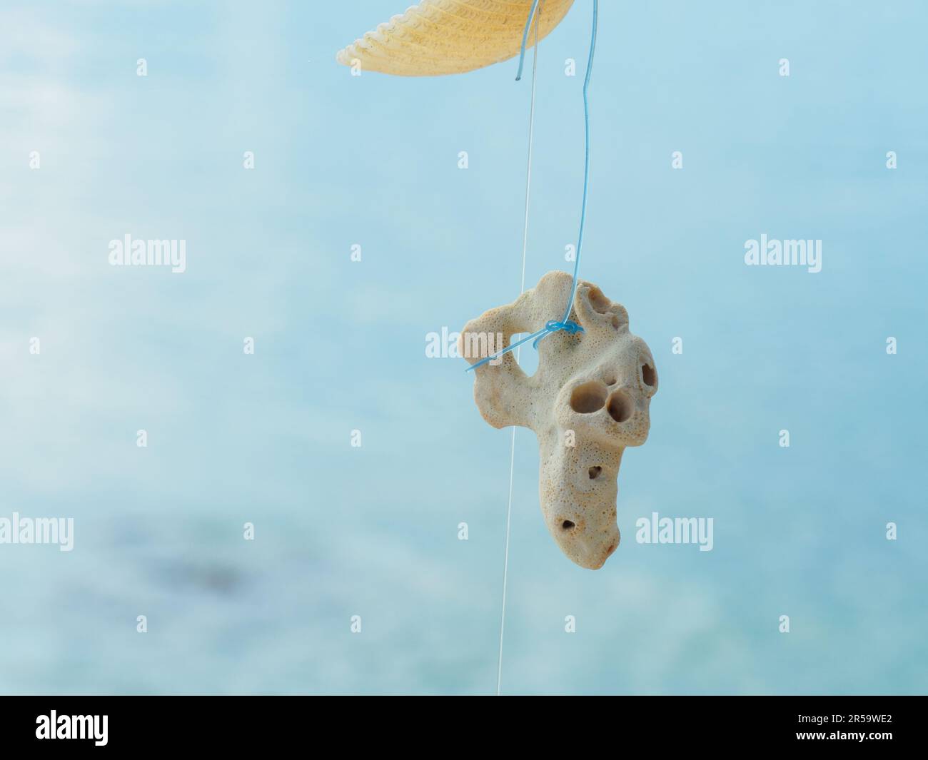 Sea shell coral mobile hanging hi-res stock photography and images - Alamy
