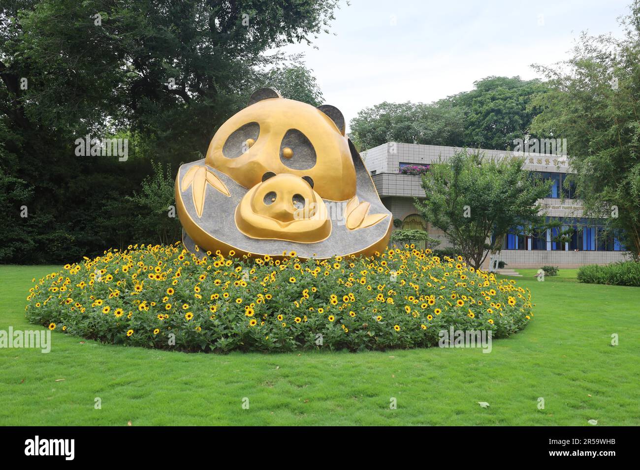 People visit Chengdu Research Base of Giant Panda Breeding on Children ...