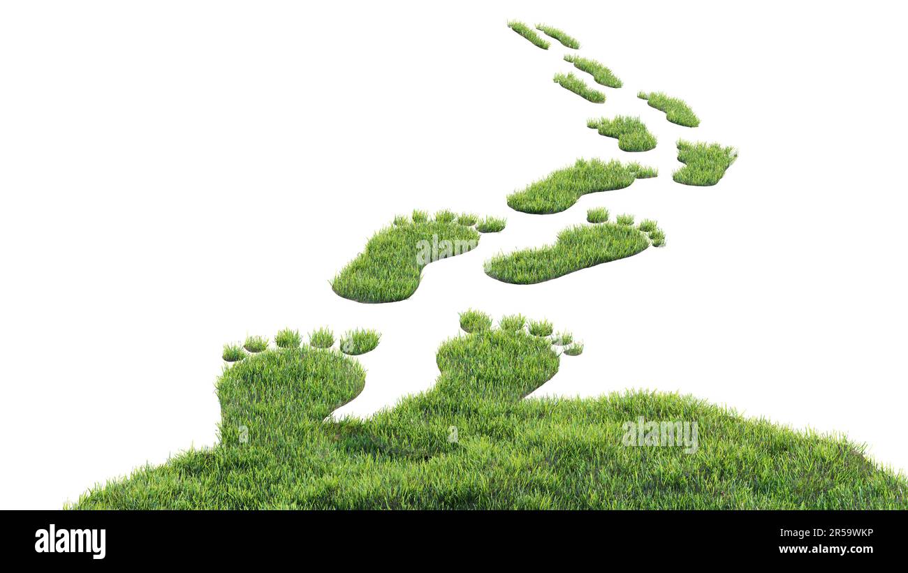 Green grass footprints, ecology concept of carbon footprint and ...