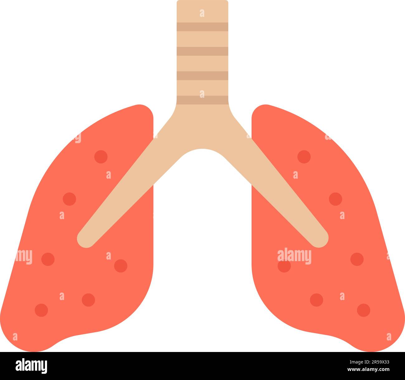 Lungs icon vector image Stock Vector Image & Art - Alamy