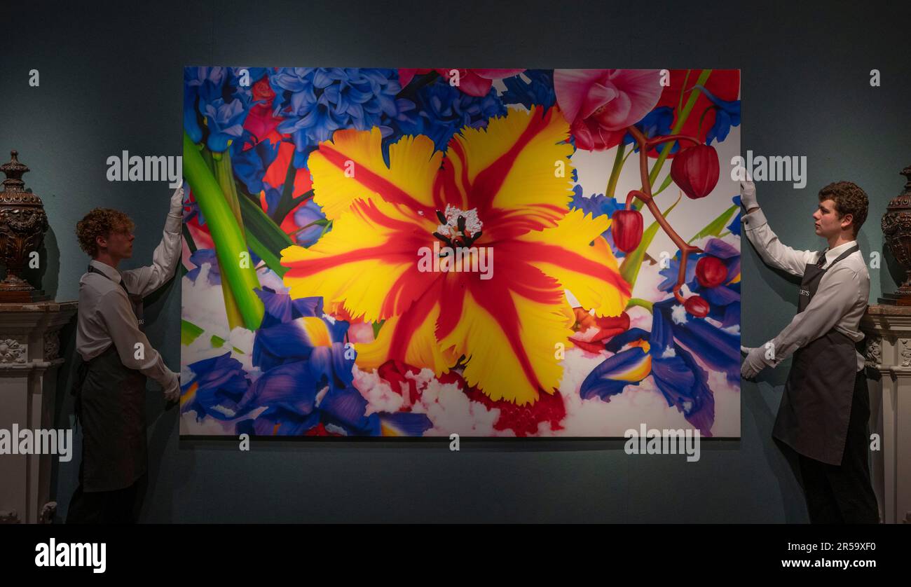 The robin and rupert hambro collection hi-res stock photography and ...