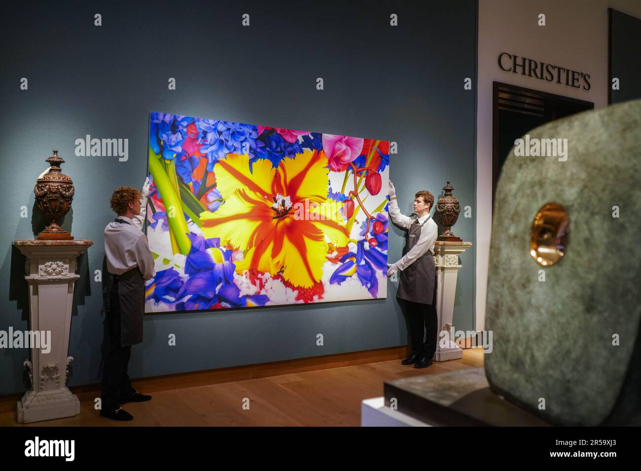 Robin quinn hi-res stock photography and images - Alamy