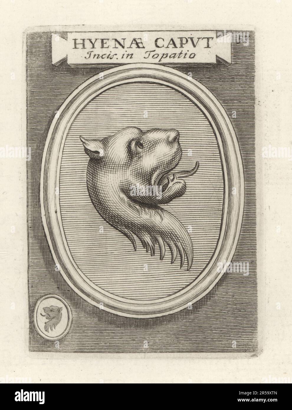 Vetera monumenta hi-res stock photography and images - Alamy