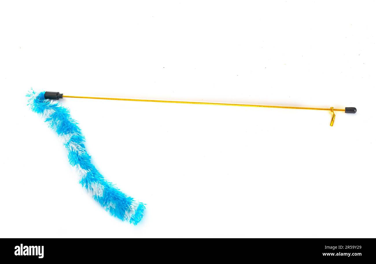 Feathered pole cat toy hi-res stock photography and images - Alamy