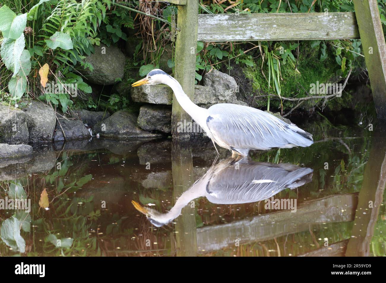 Strichen community park hi-res stock photography and images - Alamy