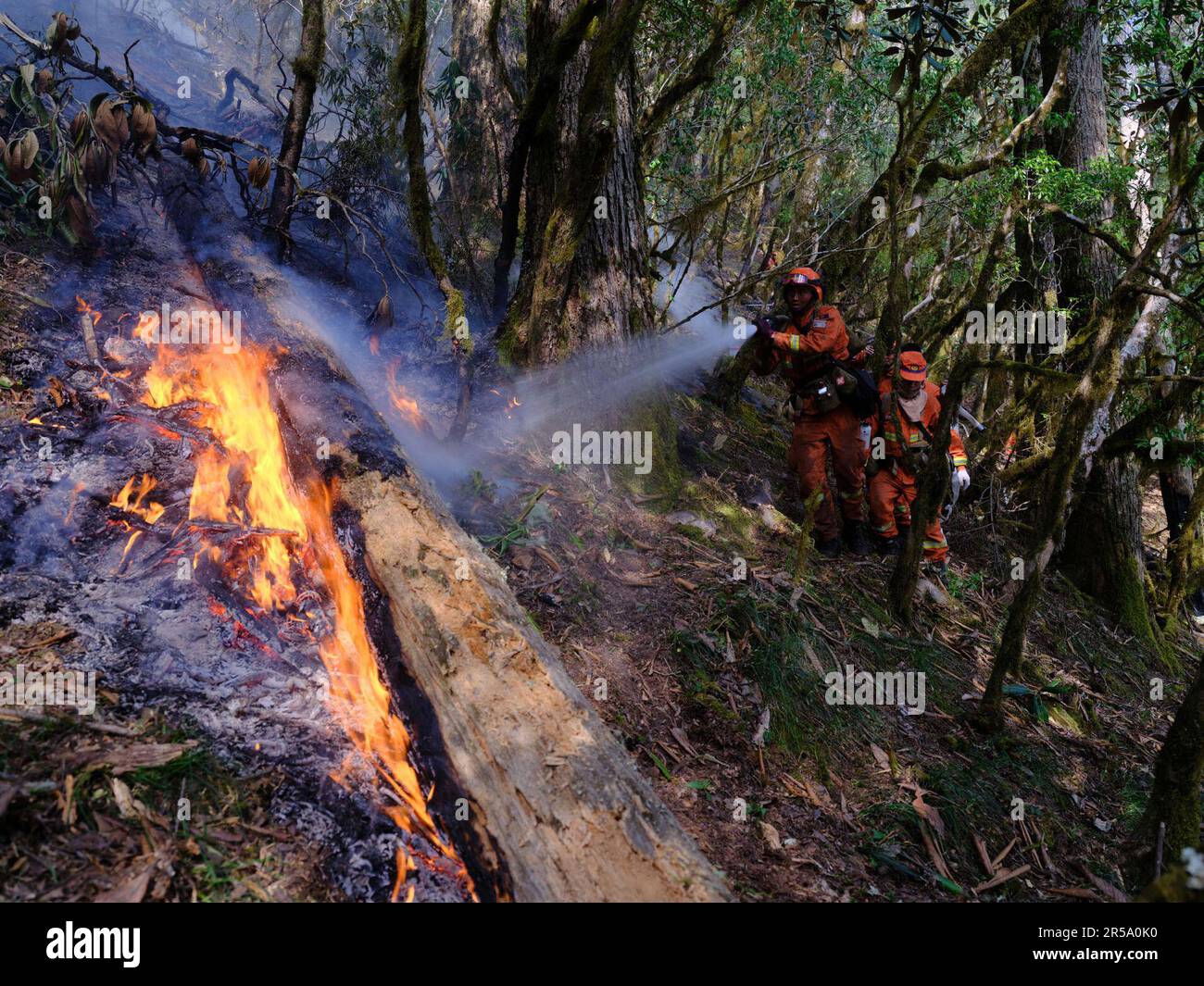 MULI, CHINA - JUNE 1, 2023 - Firefighters battle a fire in Muli County ...