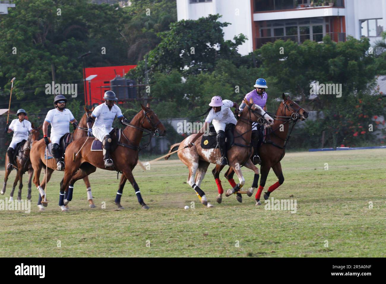 Polo players compete for the ball during the Ladies Polo invitation ...