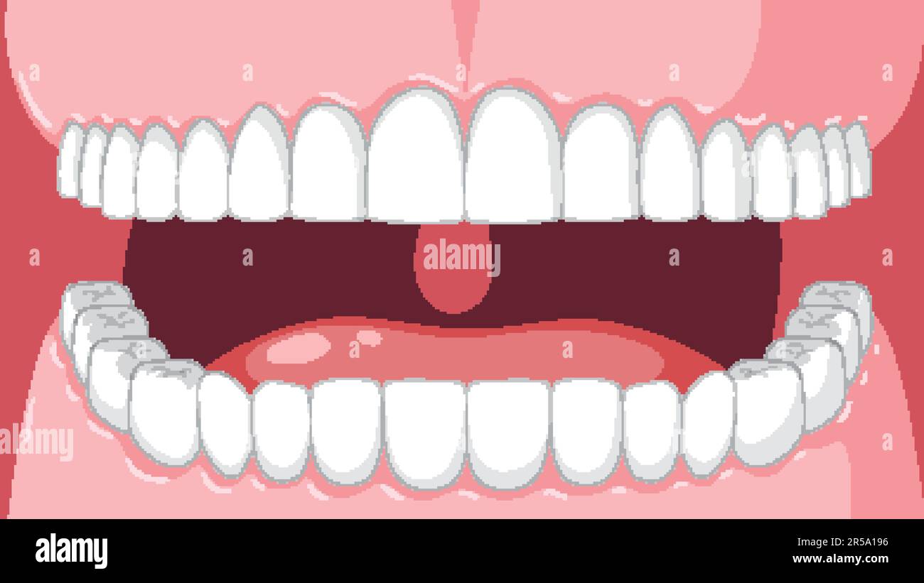 Human teeth close up cartoon illustration Stock Vector Image & Art - Alamy