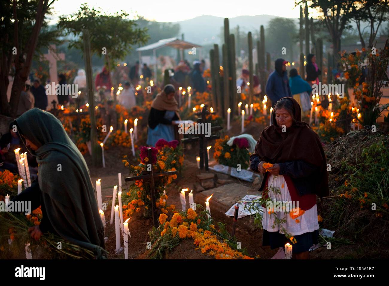 Women spread flowers on graves in honor of deceased family members for ...