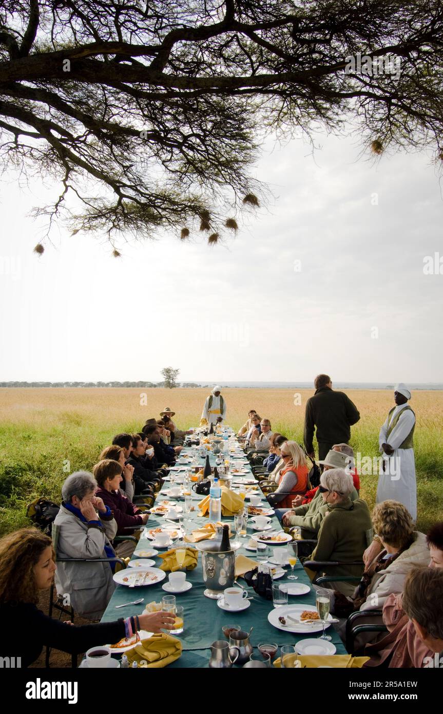 Champagne and a full English breakfast follow a sunrise hot air balloon ...