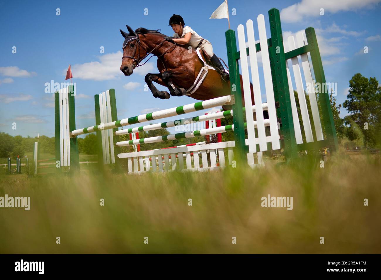 An equestrian clears a jump during the Alpine Farms Equestrian Fest in ...