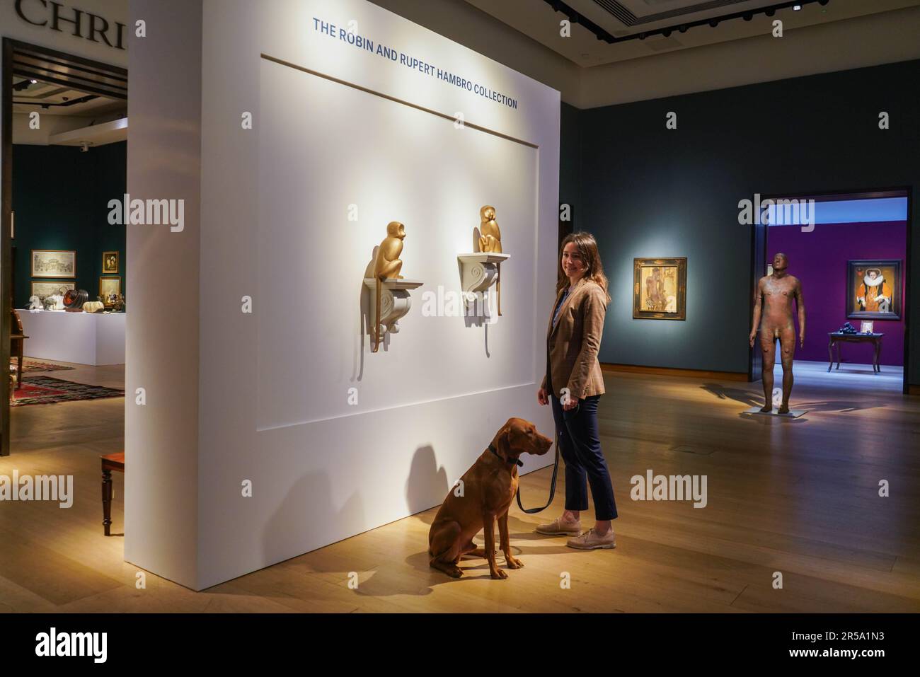 The robin and rupert hambro collection hi-res stock photography and ...