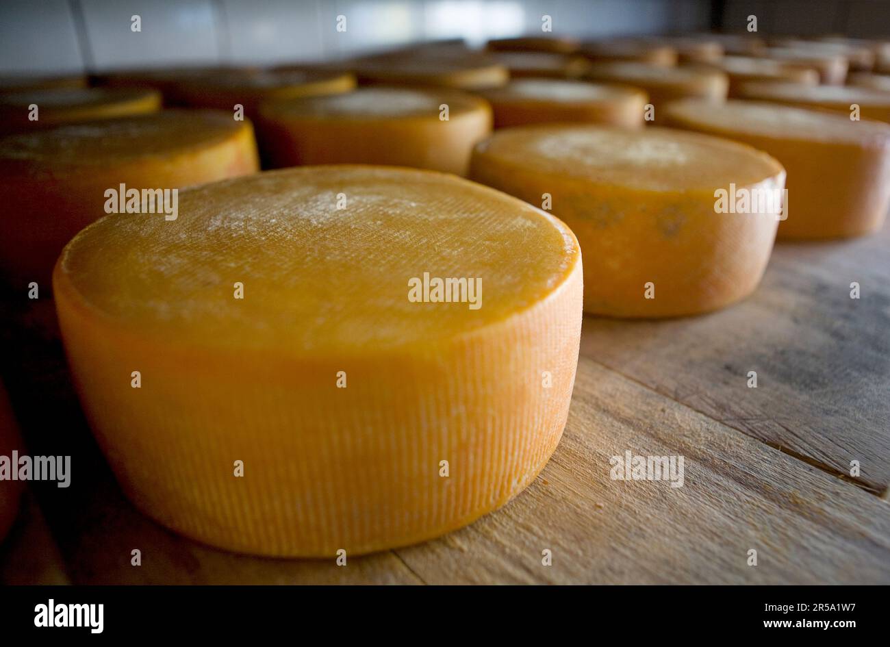 Food color wheel hi-res stock photography and images - Alamy