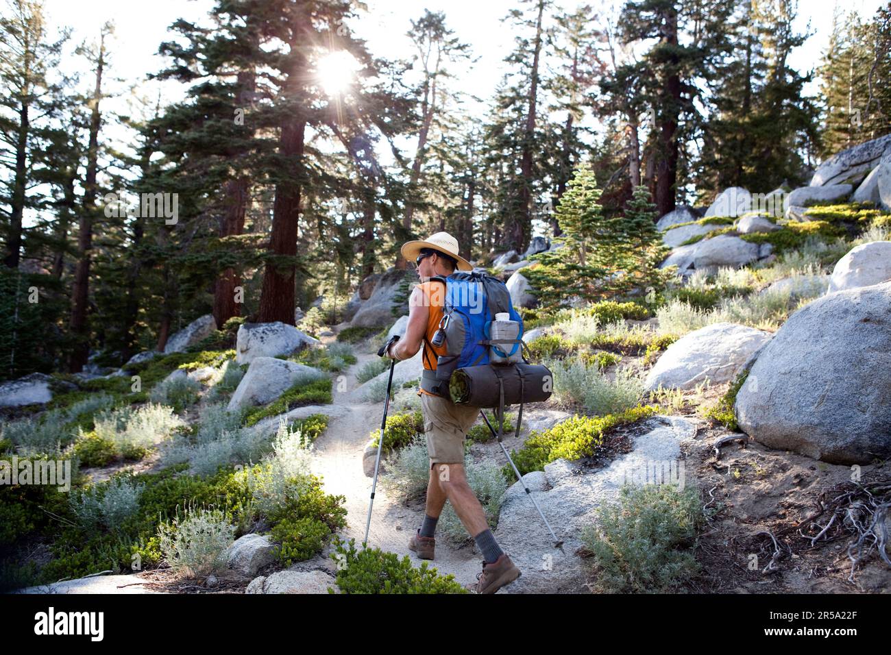 Hiking the Tahoe Rim Trail Stock Photo - Alamy
